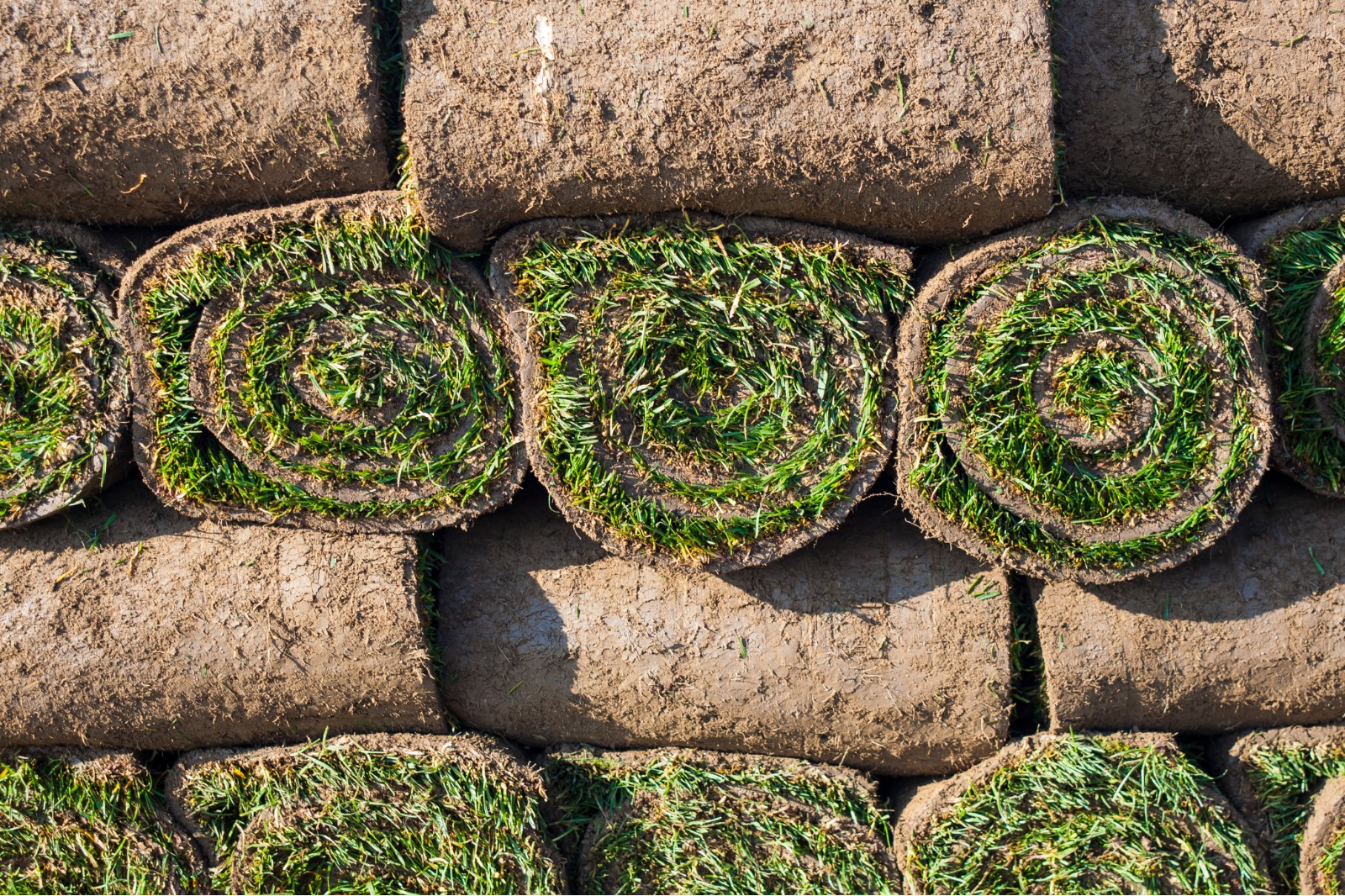 Rulourile de gazon – varianta ecologica, rapida si naturala pentru ...